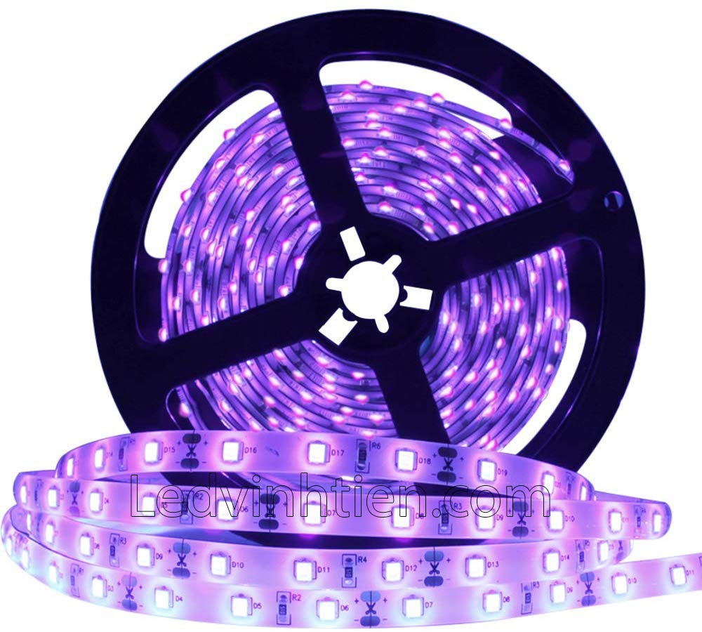 Đèn led dây 5054 12V màu tím, siêu sáng (NÊN MUA) Ledvinhtien.com